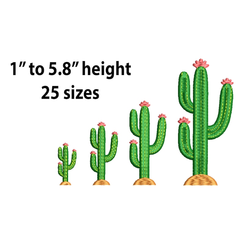 Cactus Designs - Etsy