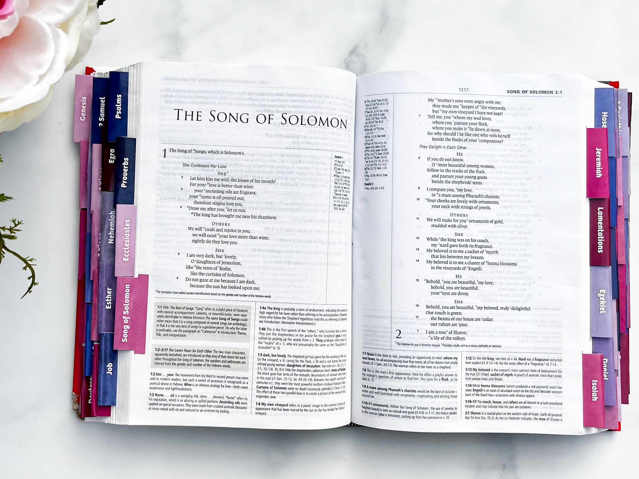 Bible Tabs for Women Bible Stickers Bible Dividers Laminated Bible ...