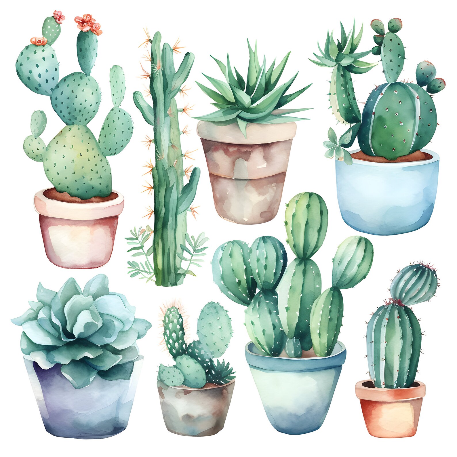 Cactus Potted Succulent Clipart Set 2 Watercolor Botanical Home Garden ...
