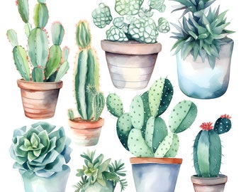 Cactus Potted Succulent Clipart Set 2 - Watercolor Botanical Home ...