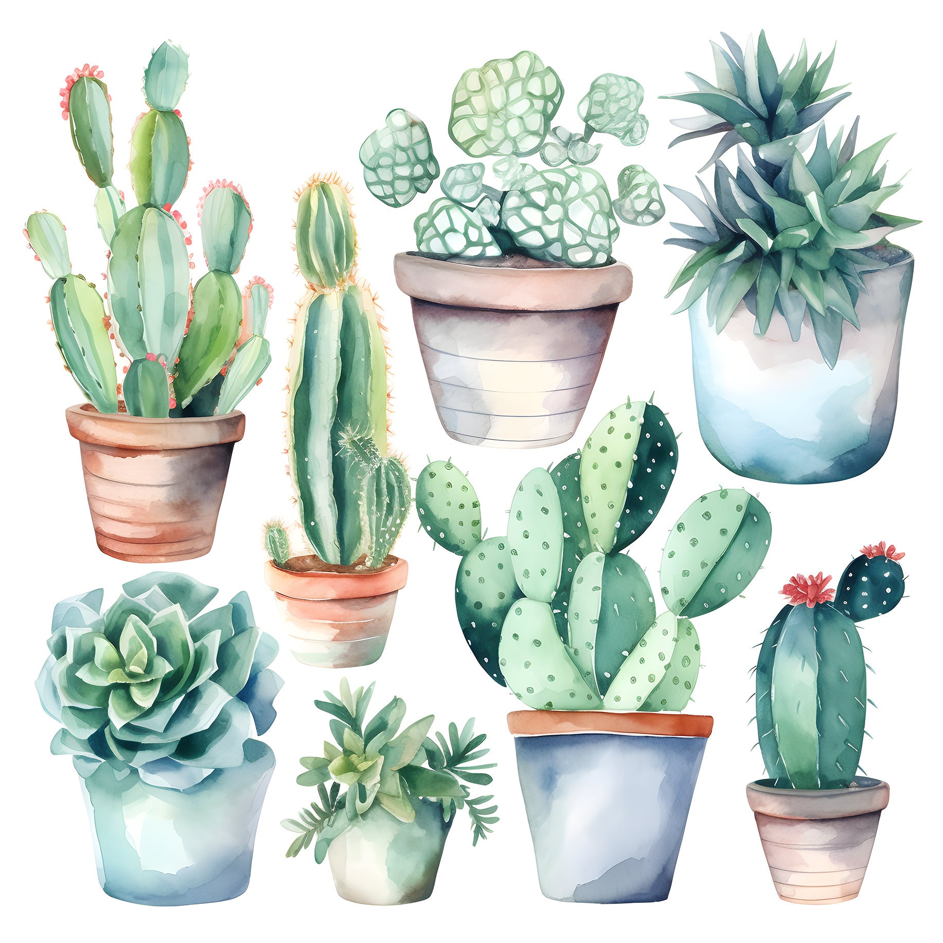 Cactus Potted Succulent Clipart Set 1 - Watercolor Botanical Home ...