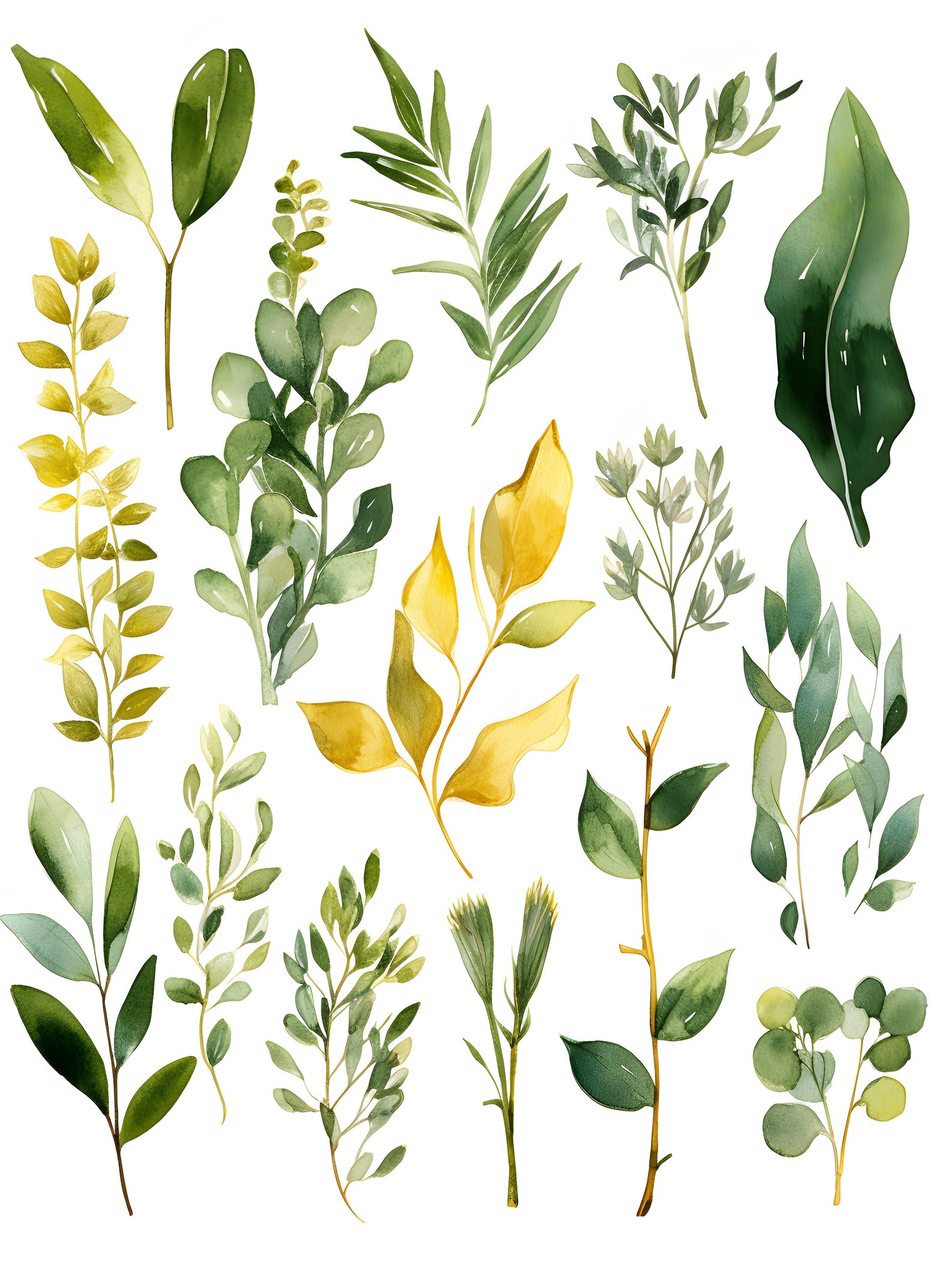 Greenery Blue Foliage Leaves 48 PNG Clipart Set 26/5/21 Watercolor Botanical Digital File for ...