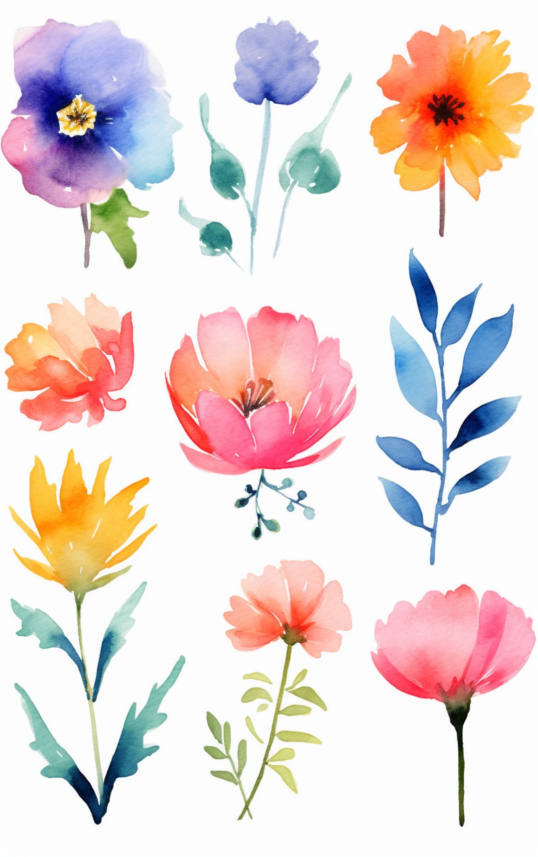 Colorful Wedding Floral Watercolor Clip Art Set 11 - Botanical PNG ...
