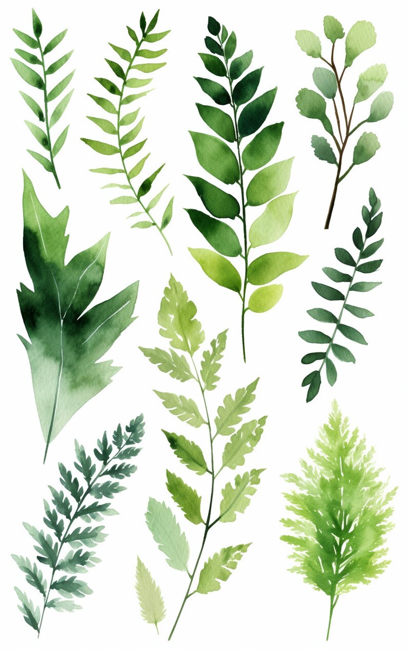 Lush Greenery Watercolor Clipart Collection 16 Romantic Forest - Etsy