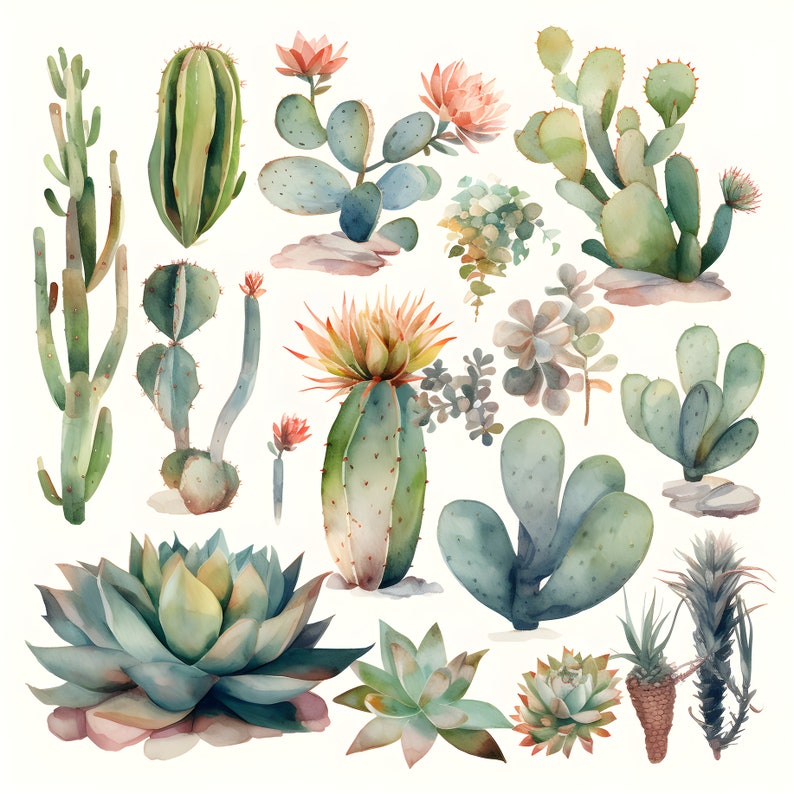 Cactus Potted Succulent Clipart Set 4 Watercolor Botanical - Etsy