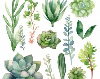 Cactus Potted Succulent Clipart Set 7 Watercolor Botanical Home Garden ...