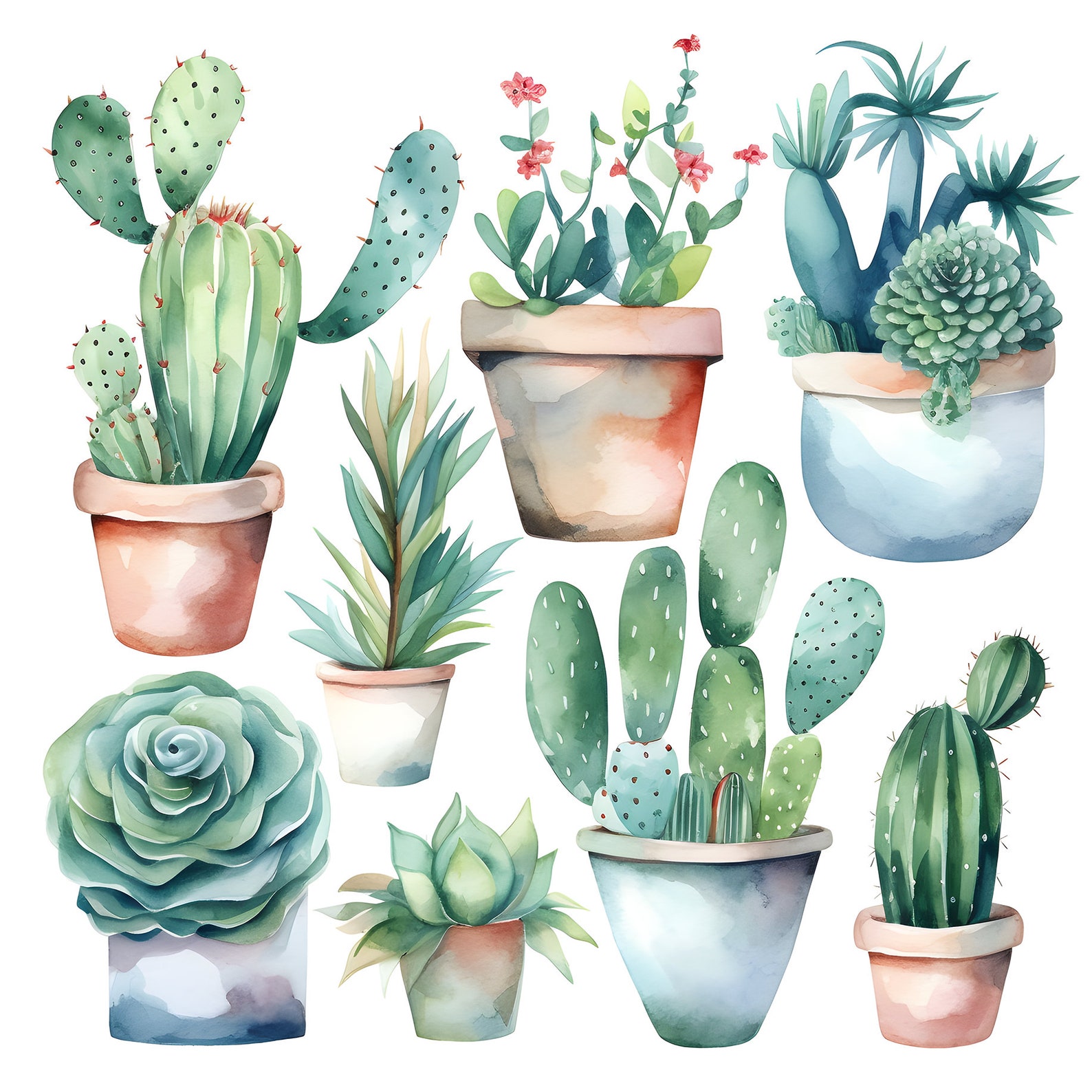 Cactus Potted Succulent Clipart Set 6 Watercolor Botanical Home Garden ...