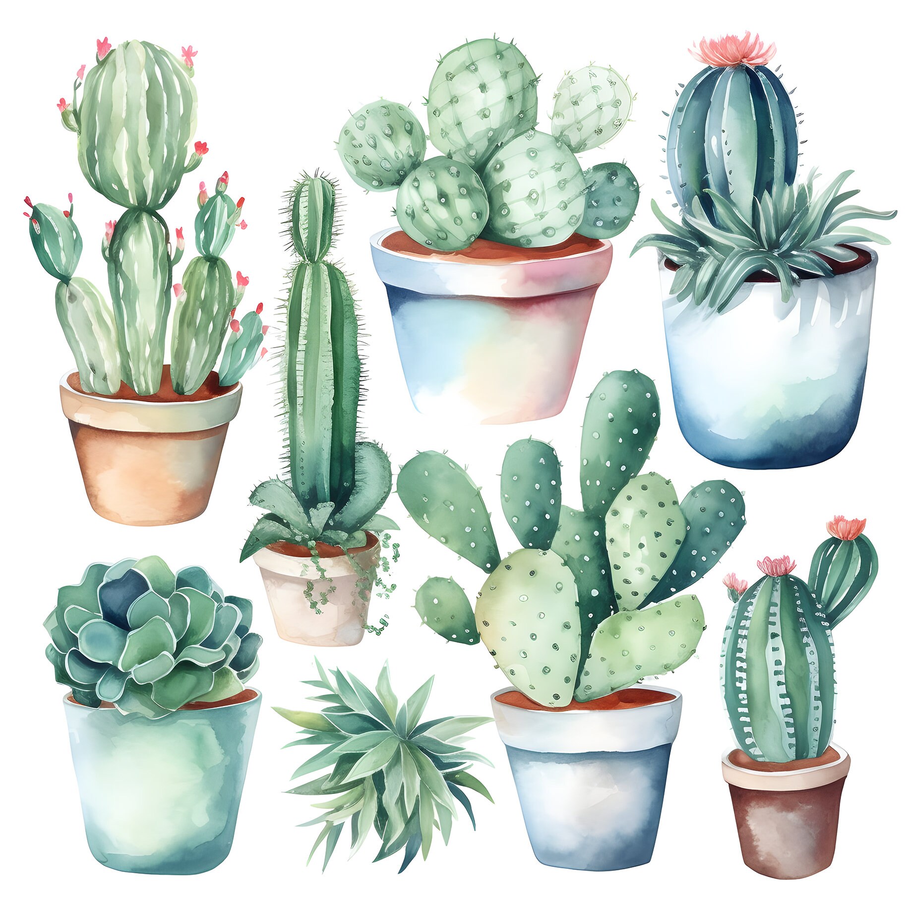 Cactus Potted Succulent Clipart Set 5 Watercolor Botanical Home Garden ...