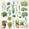 Cactus Potted Succulent Clipart Set 2 - Watercolor Botanical Home ...