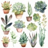 Cactus Potted Succulent Clipart Set 4 Watercolor Botanical Home Garden ...