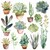 Cactus Potted Succulent Clipart Set 4 Watercolor Botanical Home Garden ...