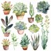 Cactus Potted Succulent Clipart Set 2 Watercolor Botanical Home Garden ...