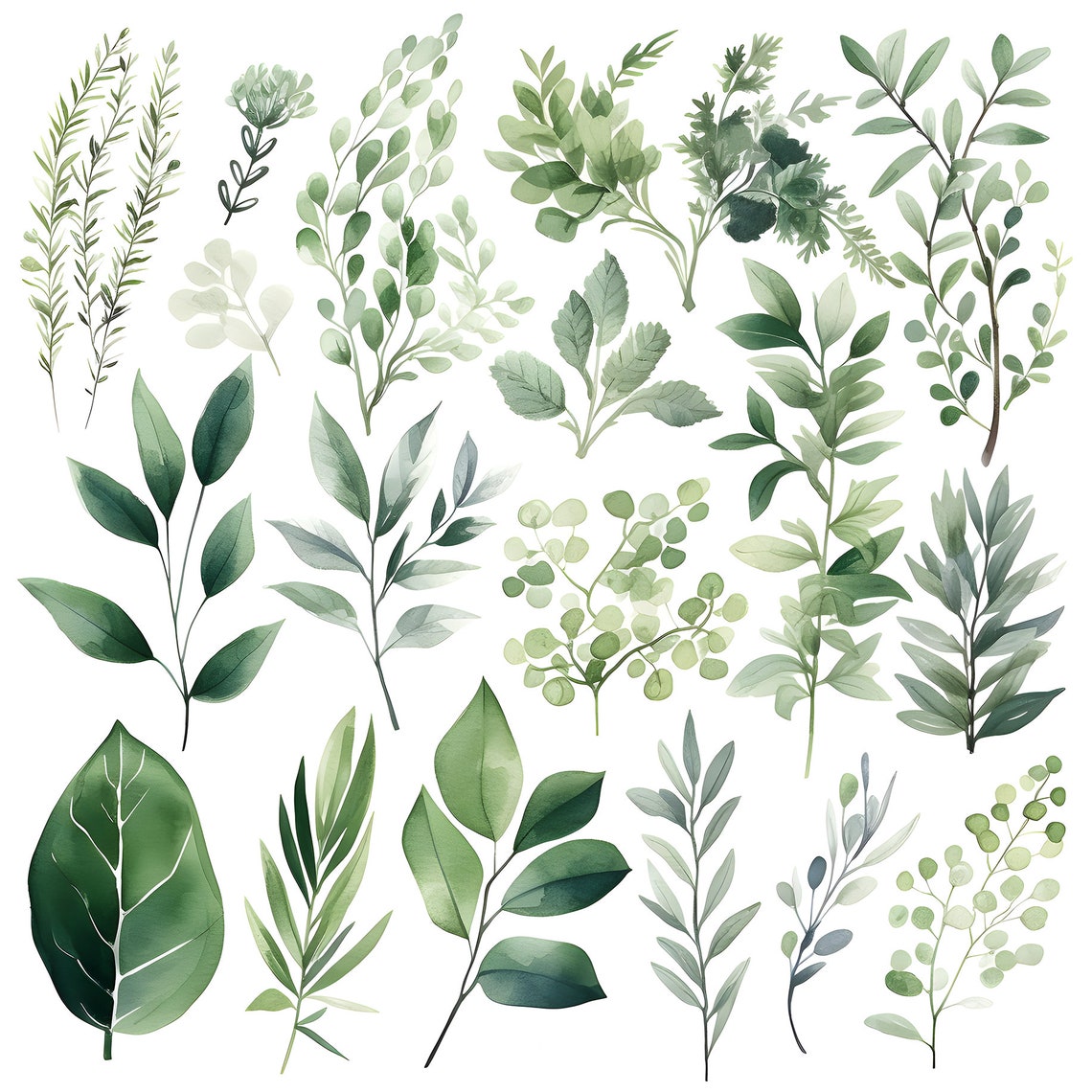 Greenery Foliage Leaves 46 PNG Clipart Sets 4/22/25 - Watercolor ...