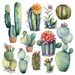 Cactus Potted Succulent Clipart Set 6 Watercolor Botanical Home Garden ...