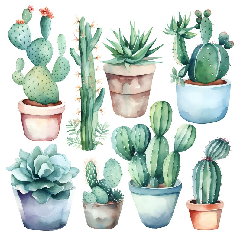 Cactus Potted Succulent Clipart Set 2 Watercolor Botanical - Etsy