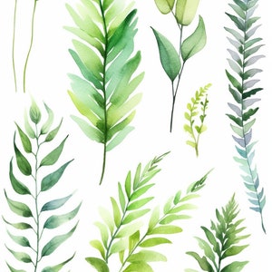 Lush Ferns Watercolor 188 PNG Complete Clipart Collection Forest Leaves ...