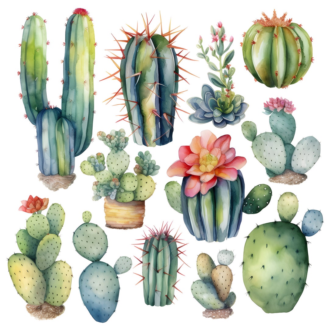 Cactus Potted Succulent Clipart Set 3 Watercolor Botanical Home Garden ...