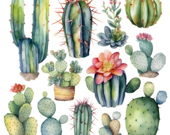 Cactus Potted Succulent Clipart Set 2 - Watercolor Botanical Home ...