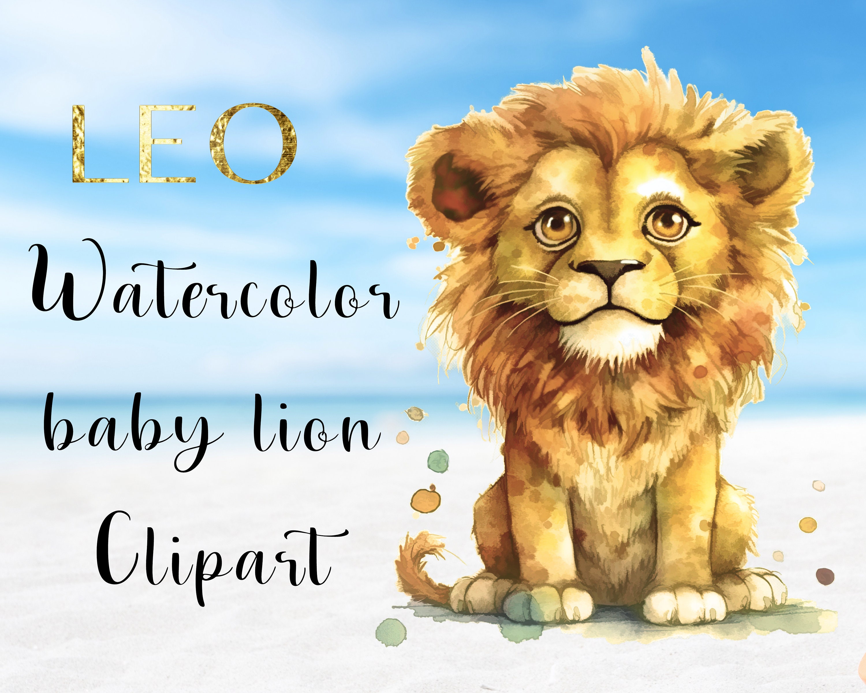 LEO: 21 Watercolor Baby Lions - Clipart, Transparent Background Pngs ...