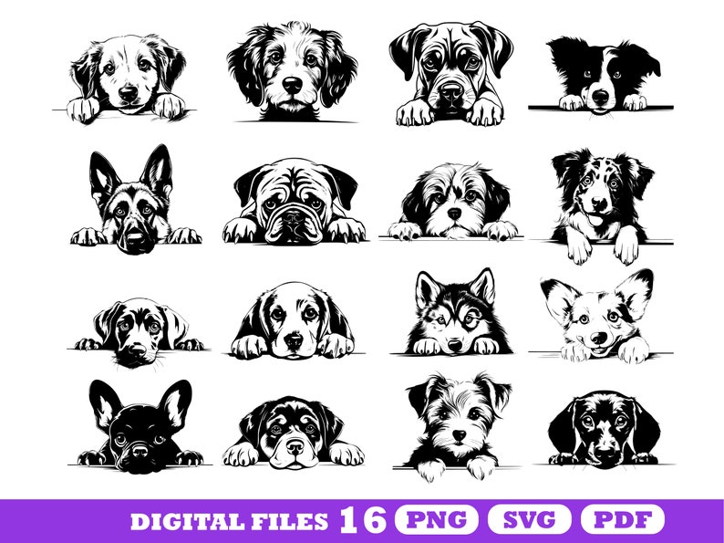 Animal SVG Mega Bundle, Animal Mega Pack, Animal Silhouette Cut Files ...