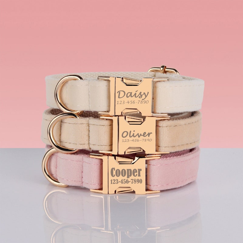 Custom Dog Collars - Etsy