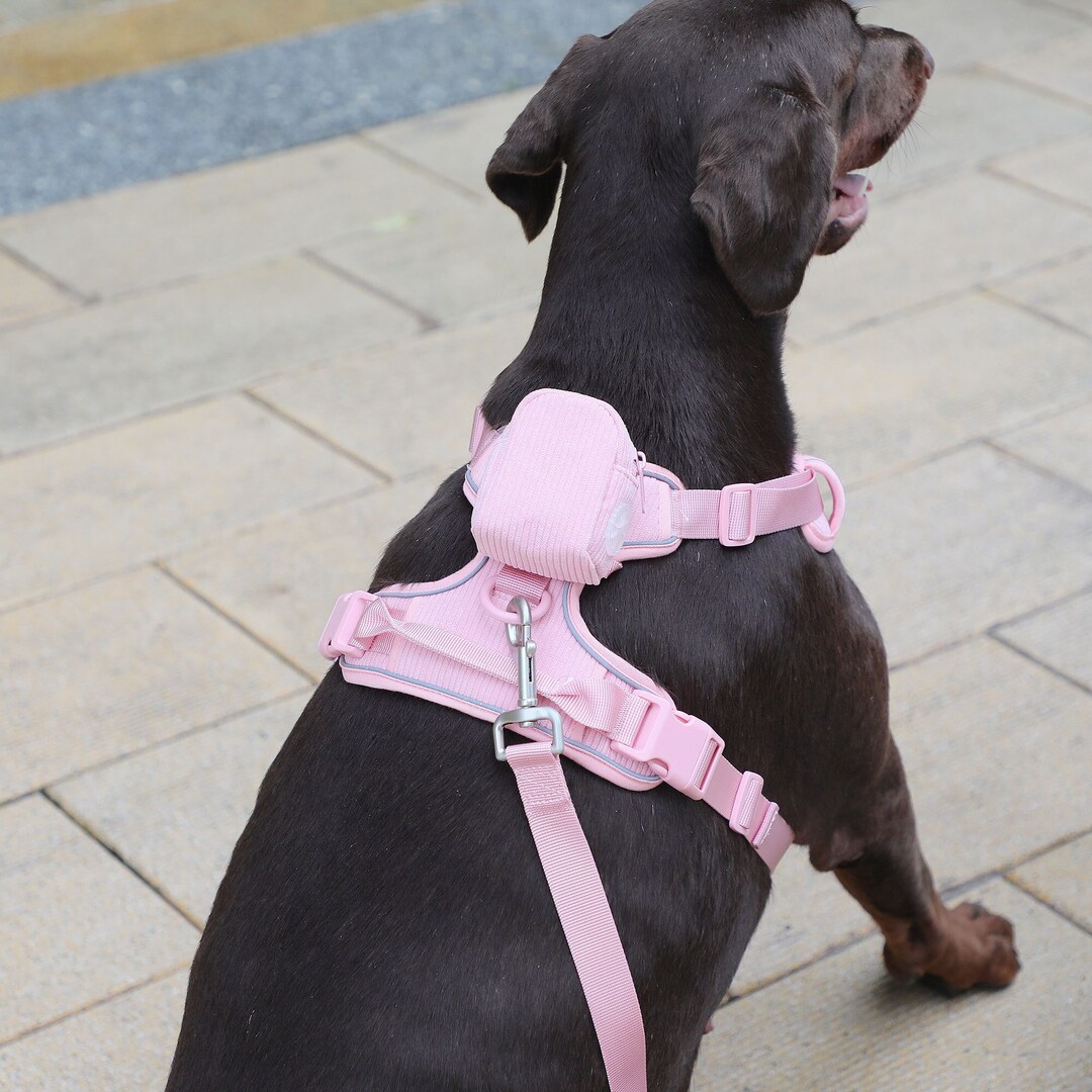 Personalized No Pull Dog Harness and Leash Set | Reflective, Pink - Etsy
