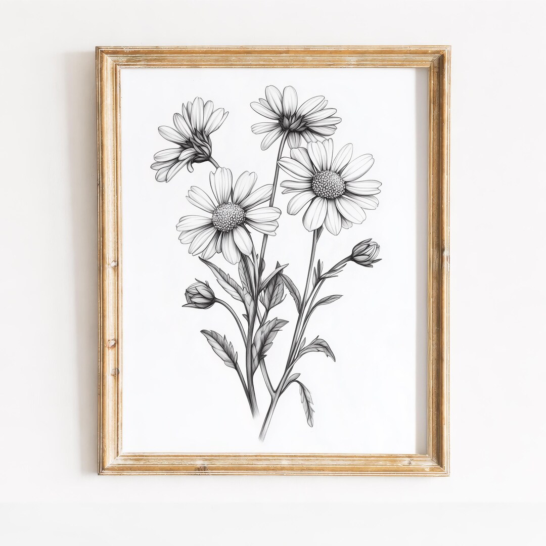Printable Chamomile Botanical Art - Minimalist Hand-drawn Flower Study ...