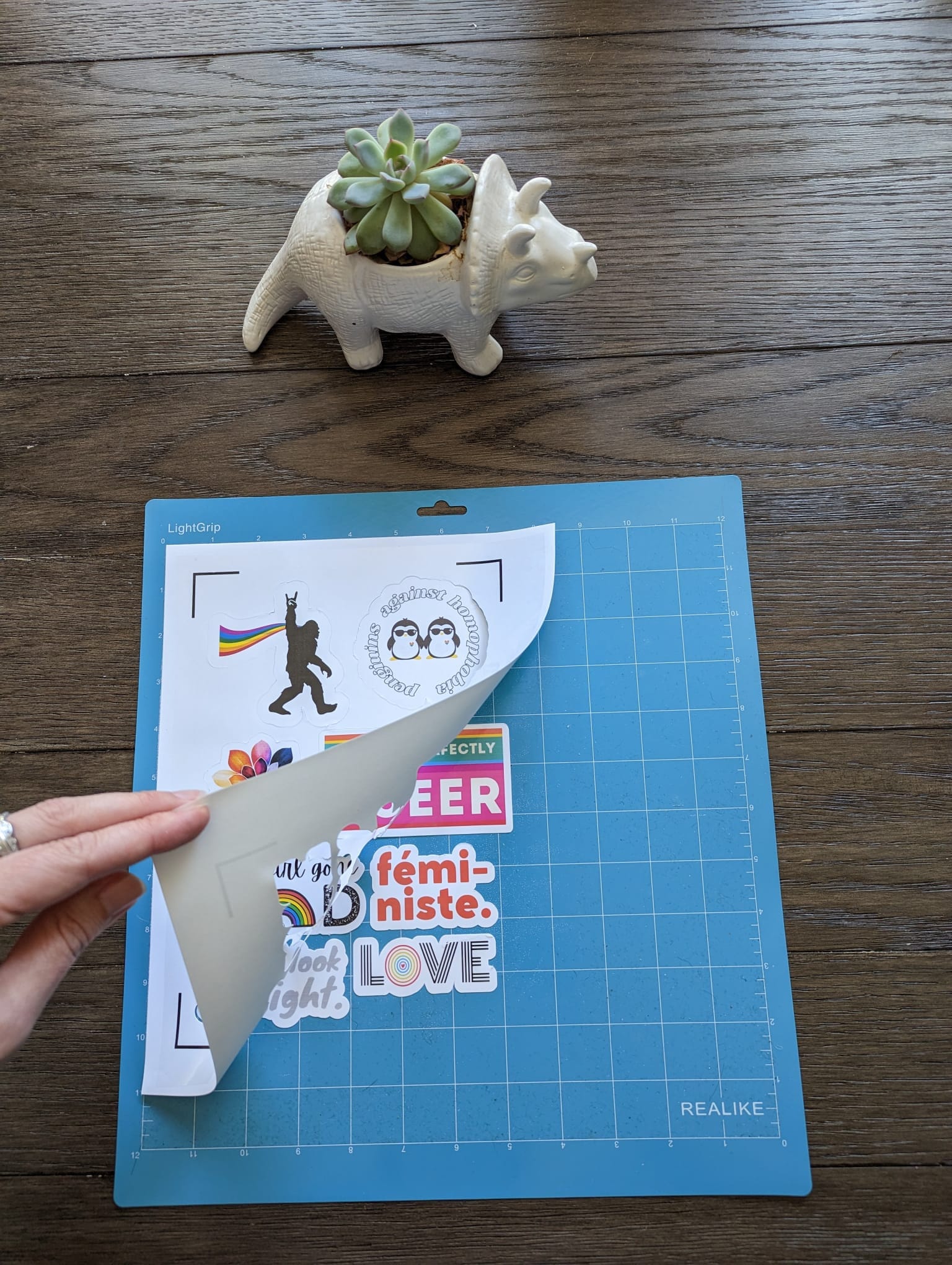 Diagonal Progress Pride Flag | Waterproof | Dishwasher Durable | Two ...