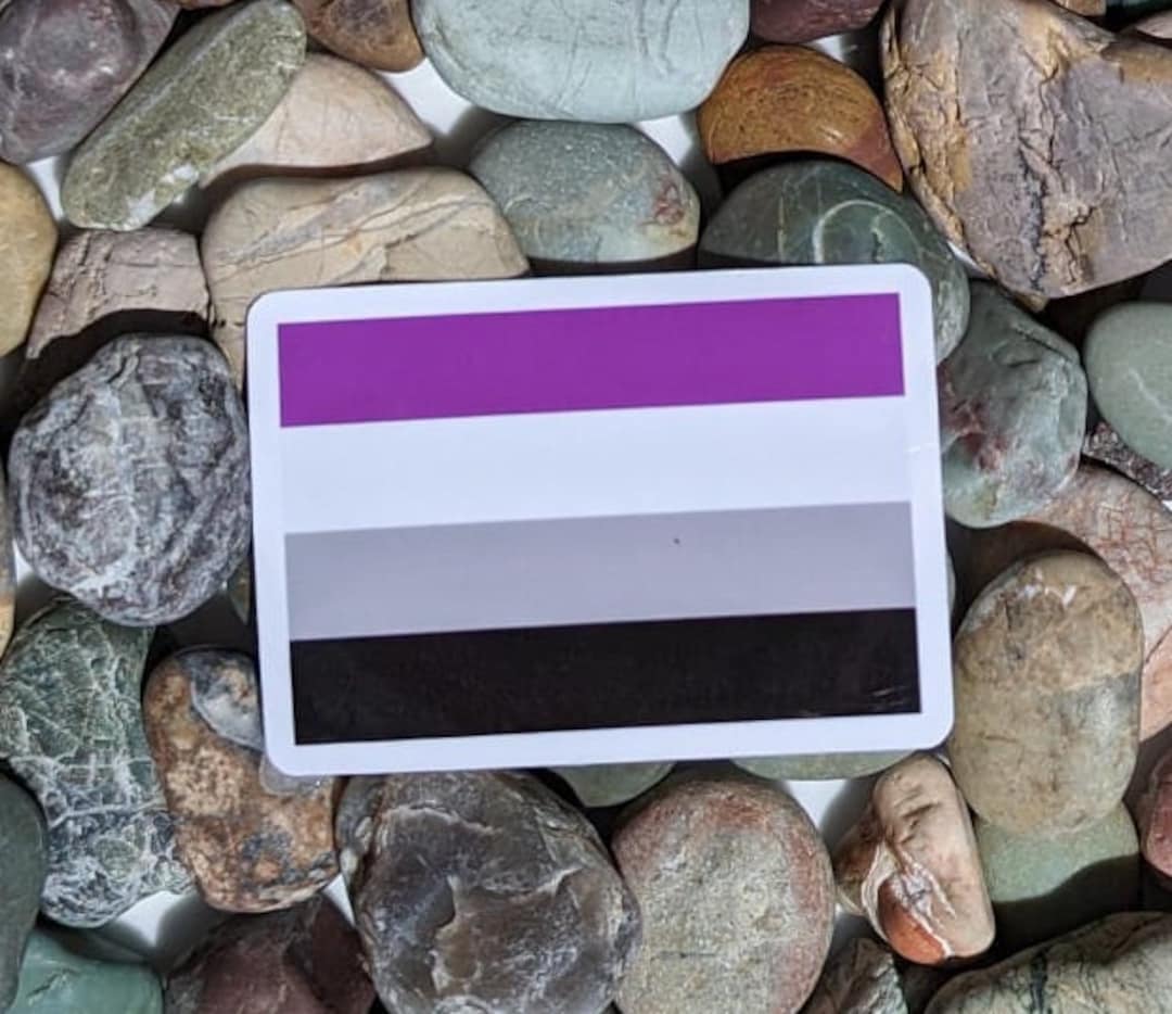 Asexual Flag | Queer Vinyl Sticker | Two Sizes | Water Bottle Sticker ...