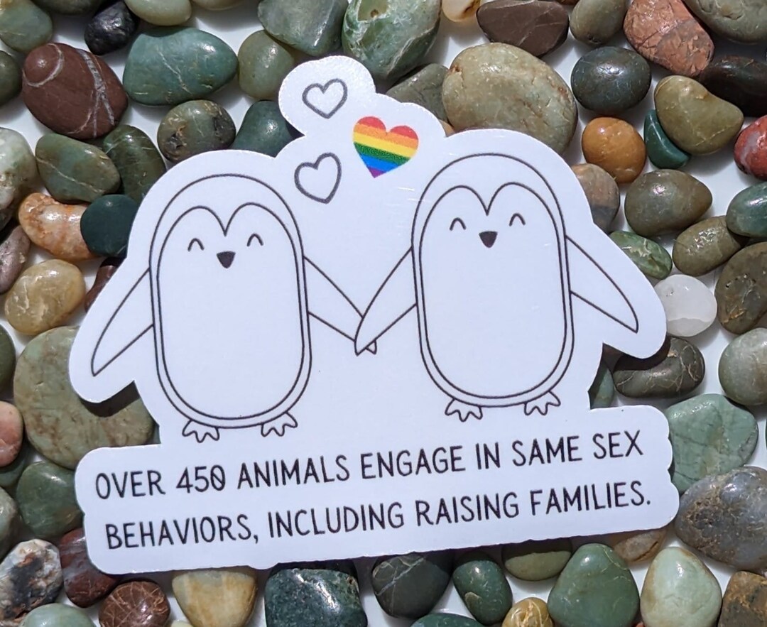 Lgbtq Penguin Love Sticker Waterproof And Weatherproof Two Etsy