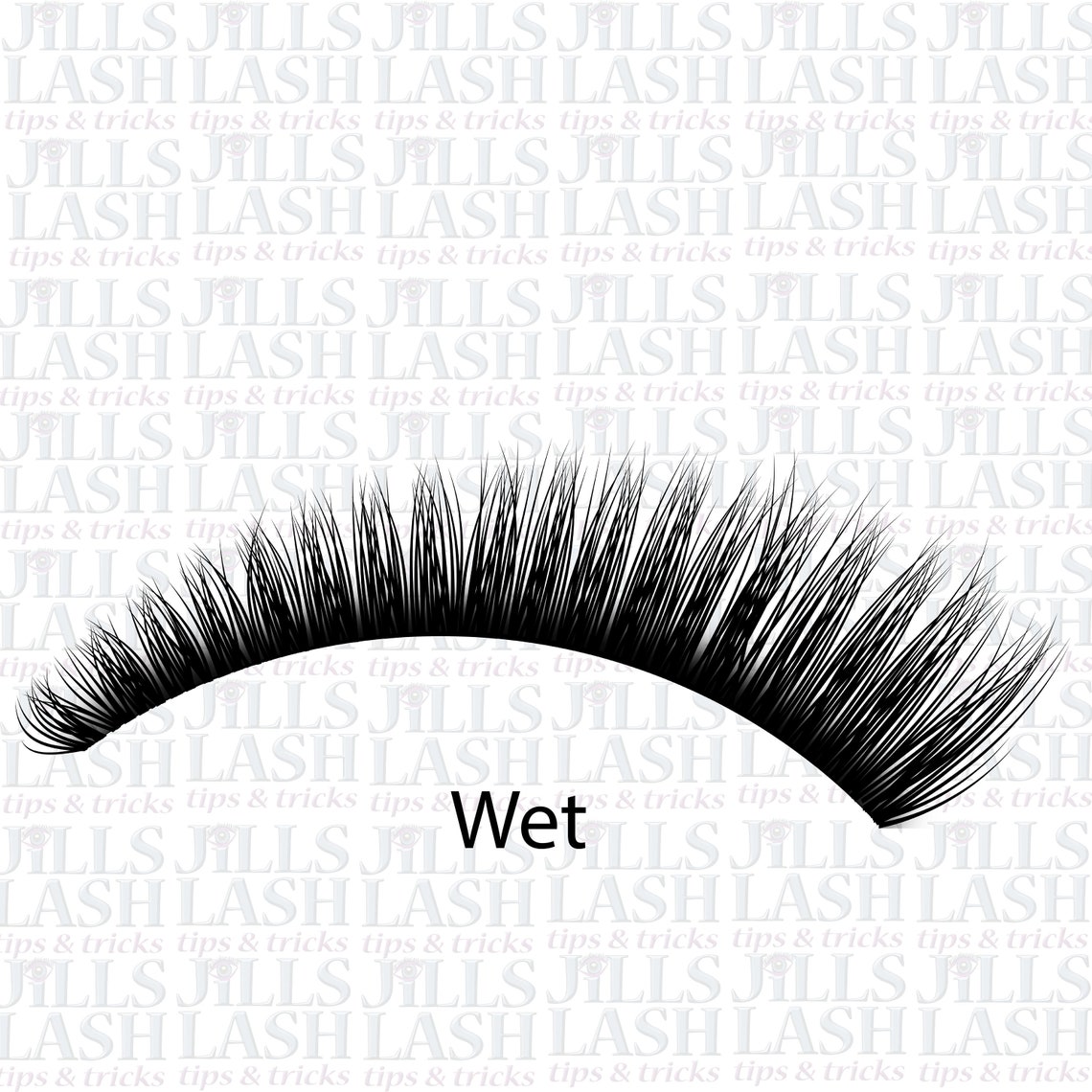 Set of 4 Digital Lash Stickers Eyelash Extension Mapping - Etsy