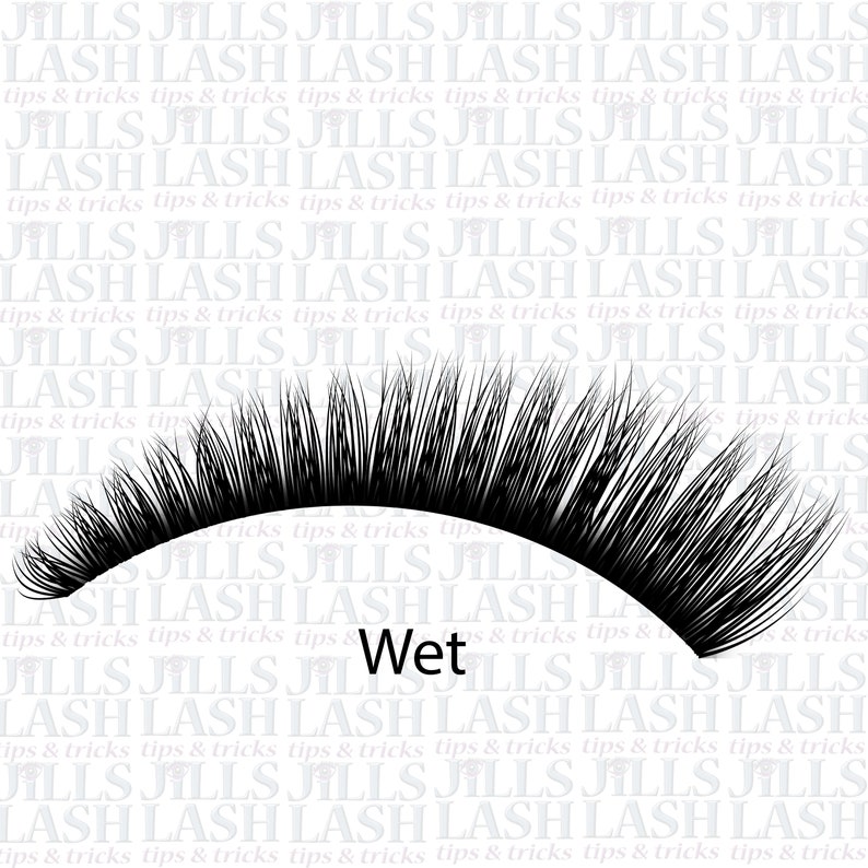 Set of 4 Digital Lash Stickers Eyelash Extension Mapping - Etsy