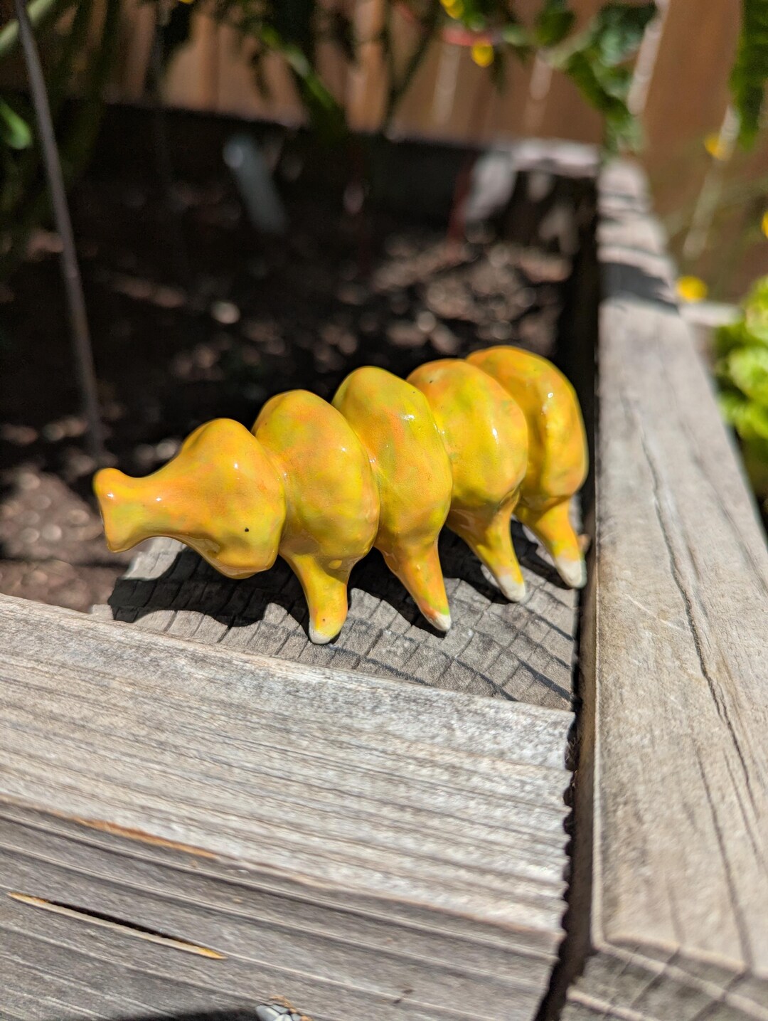 Dappled Tardigrade (yellow Squash): Original Hand-built Ceramic ...