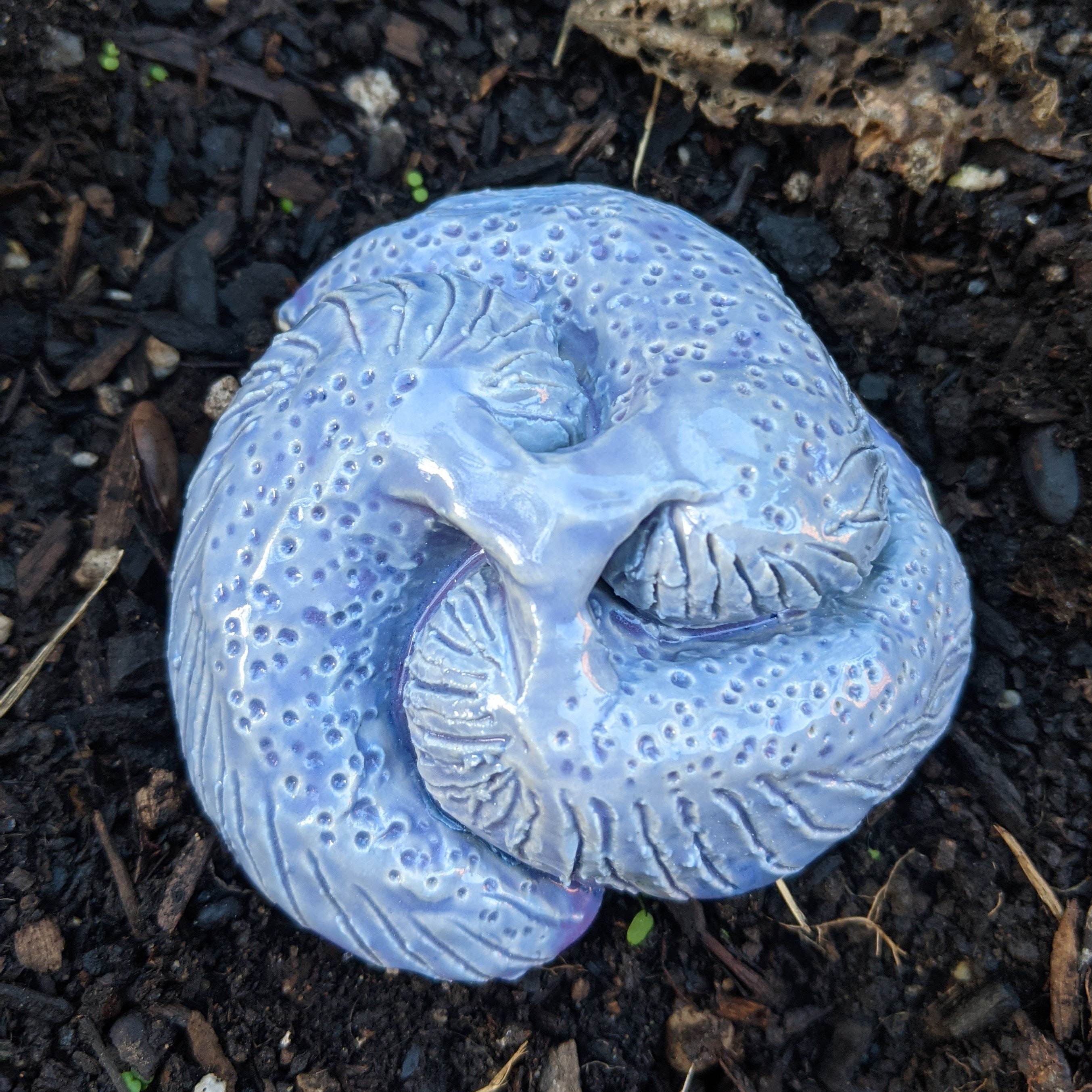 Ediacaran Biota: Tribrachidium for Home or Garden - Etsy