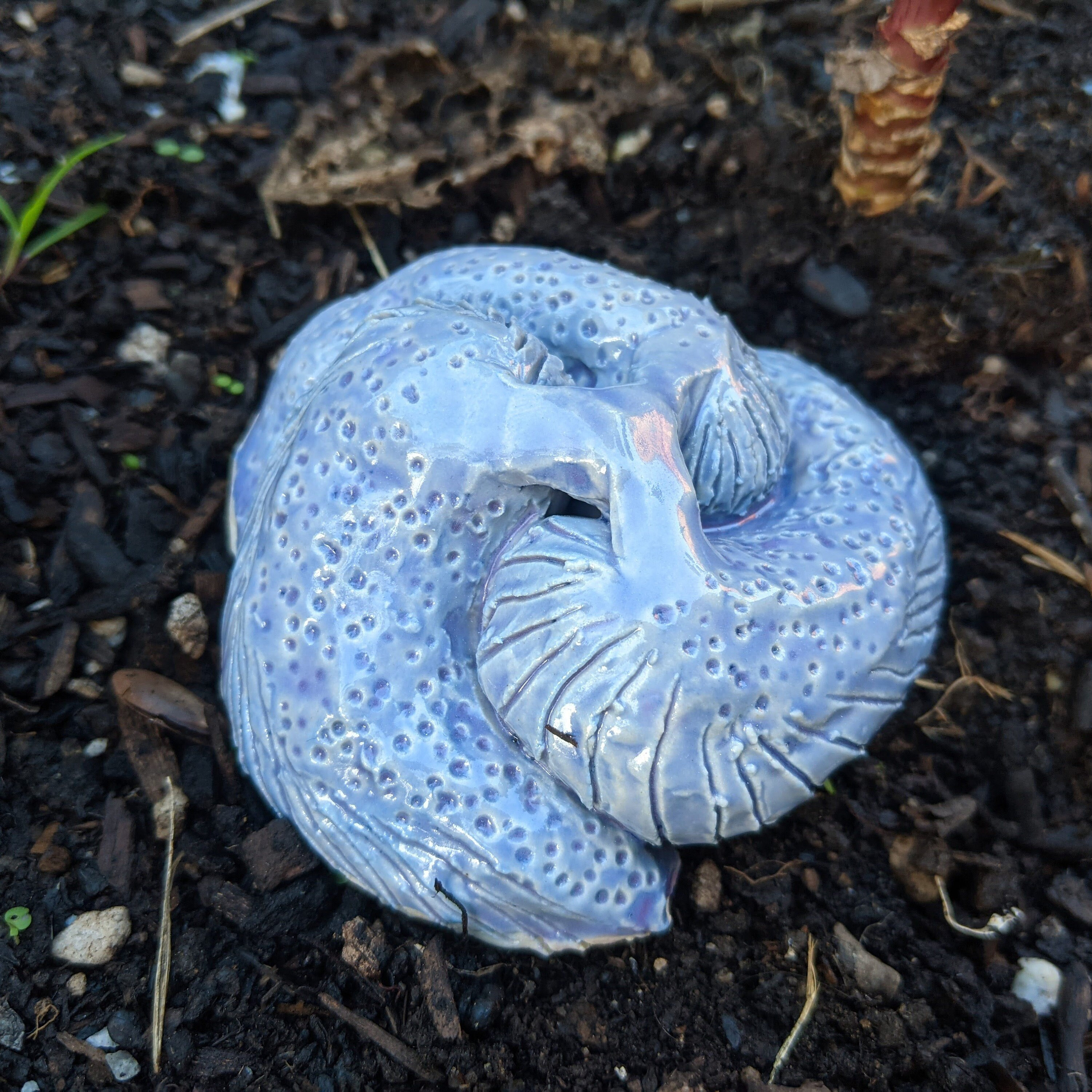 Ediacaran Biota: Tribrachidium for Home or Garden - Etsy