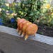 Fire Tardigrade: Original Hand-built Ceramic Sculpture - Etsy