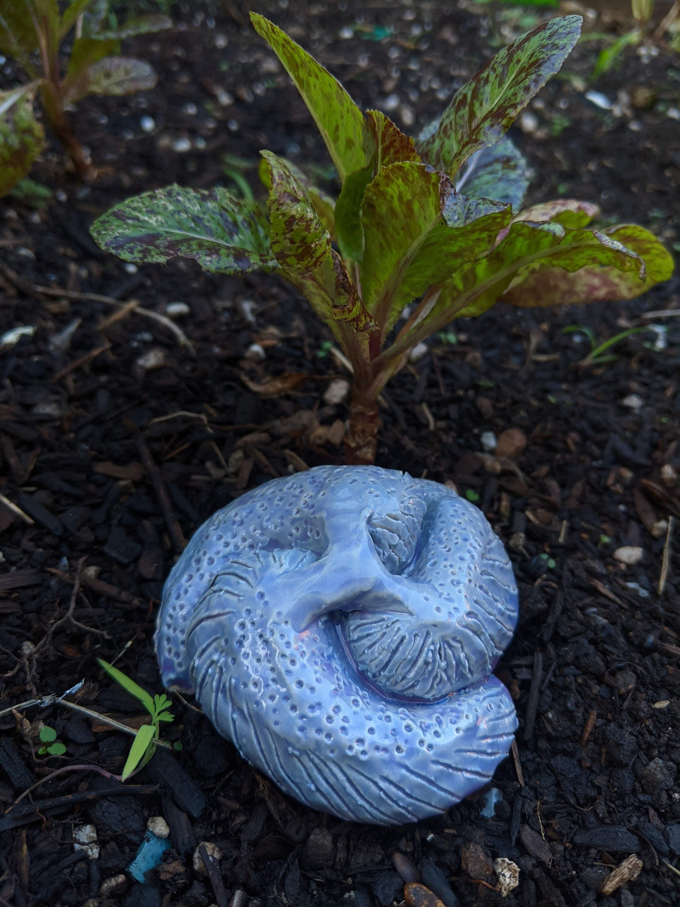 Ediacaran Biota: Tribrachidium for Home or Garden - Etsy