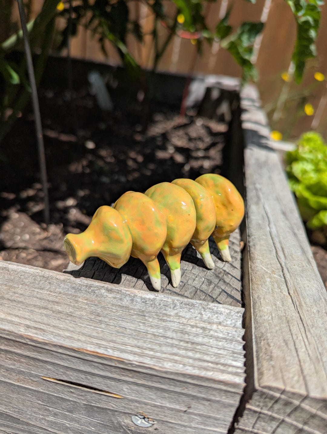 Dappled Tardigrade (yellow Squash): Original Hand-built Ceramic ...