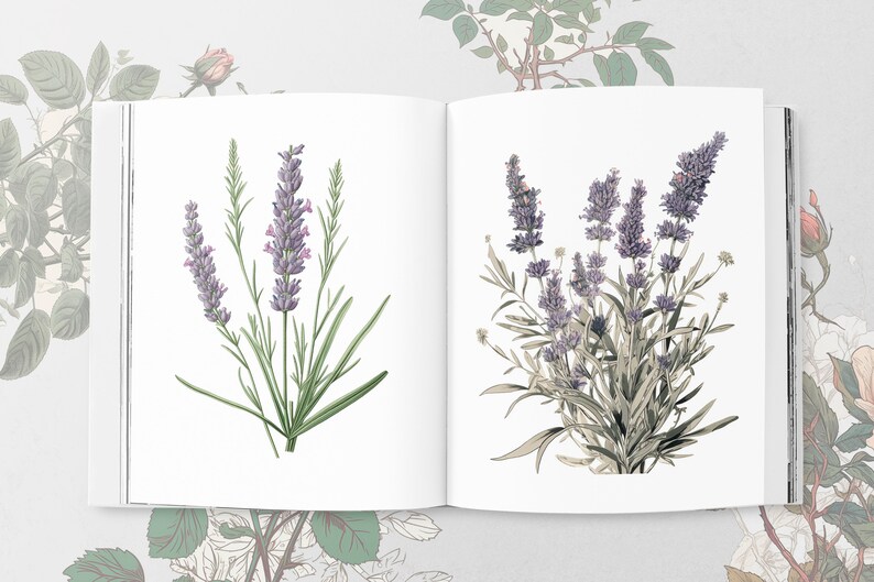 Botanical Lavender Prints, Gallery Wall Set of 4, Floral Poster ...