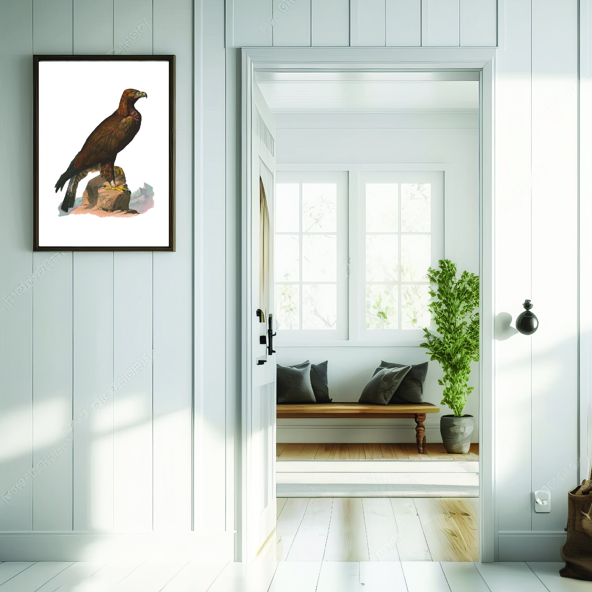 Golden Eagle Printable Vintage Image for Bird of Prey Lover. Home Decor ...
