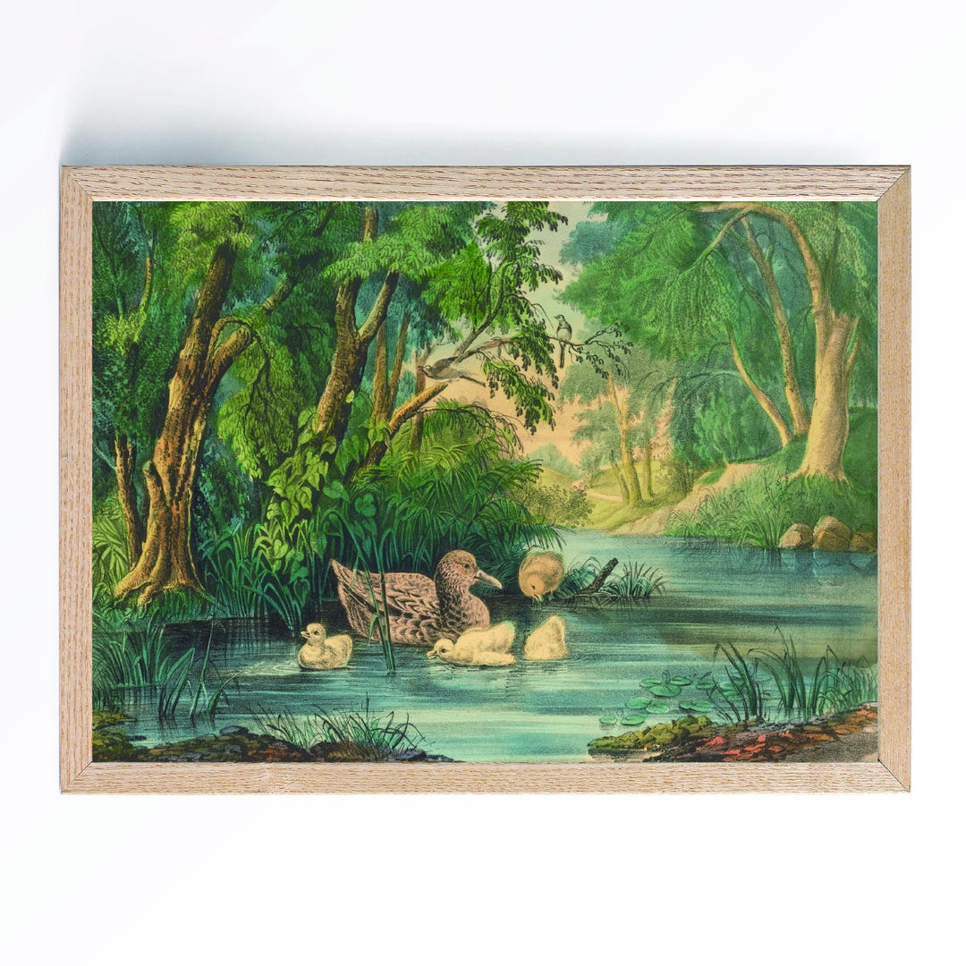 Vintage Woodland Duck Pond Print. Duck & Ducklings Forest Nature Scene ...