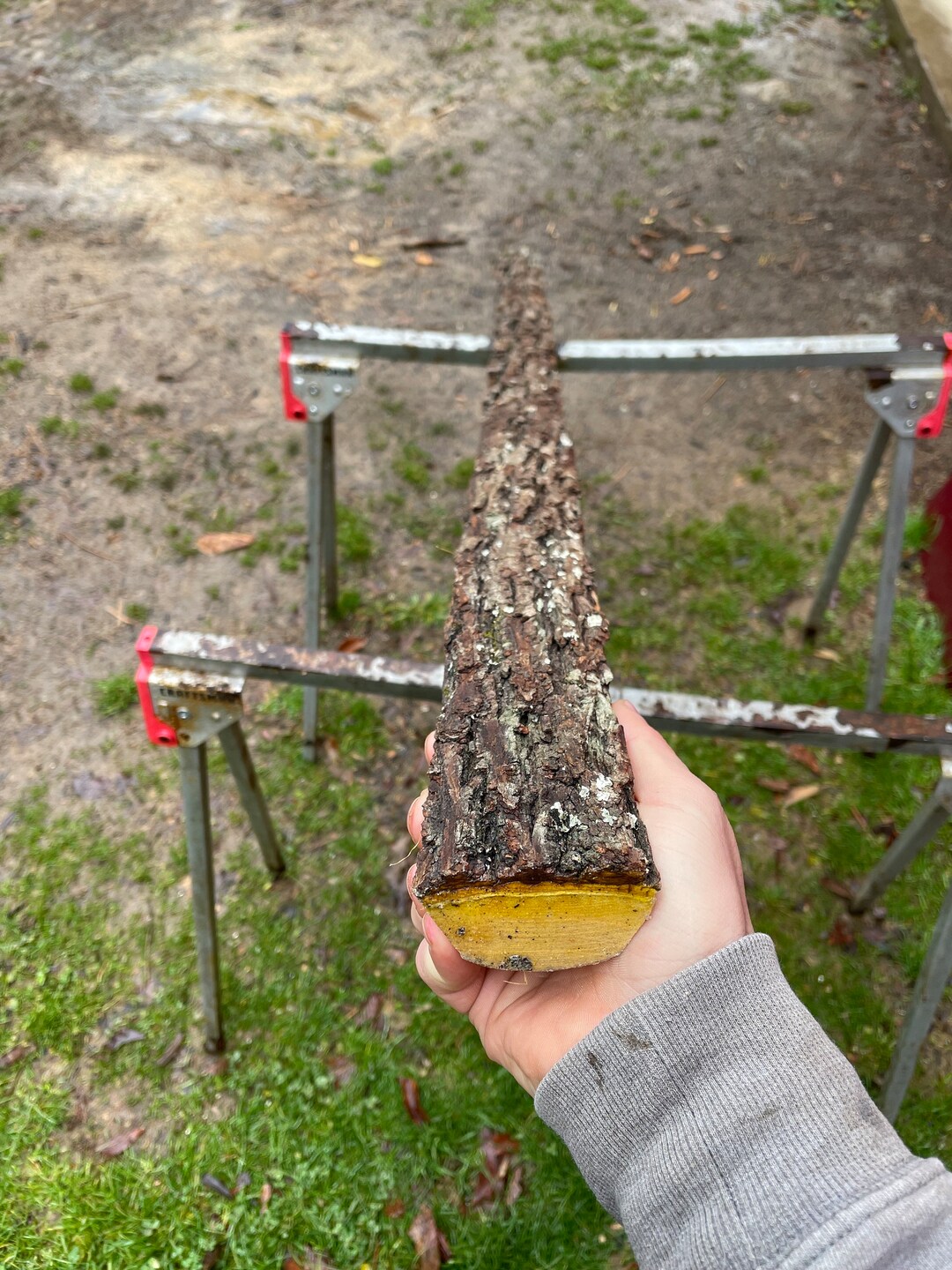 59 Hickory Bow Stave - Etsy