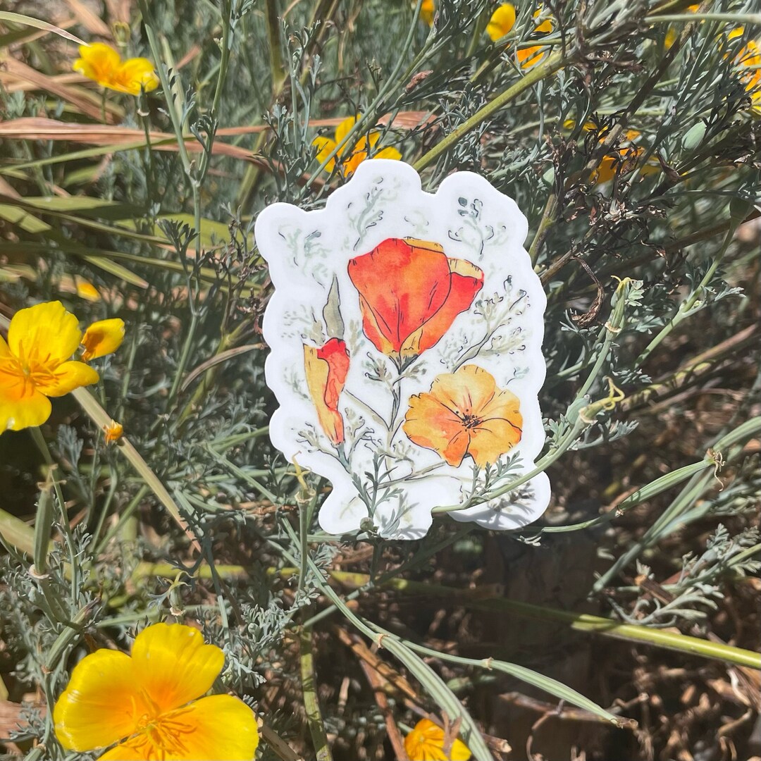 Watercolor Wildflower Poppy Die Cut Vinyl Sticker Accessory 2.2 X 3 ...