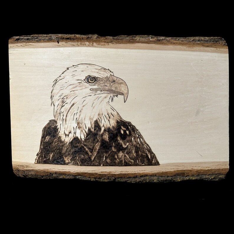 Bald Eagle Wood Burning Pyrography - Etsy