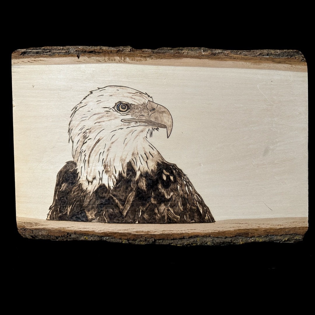 Bald Eagle Wood Burning Pyrography - Etsy