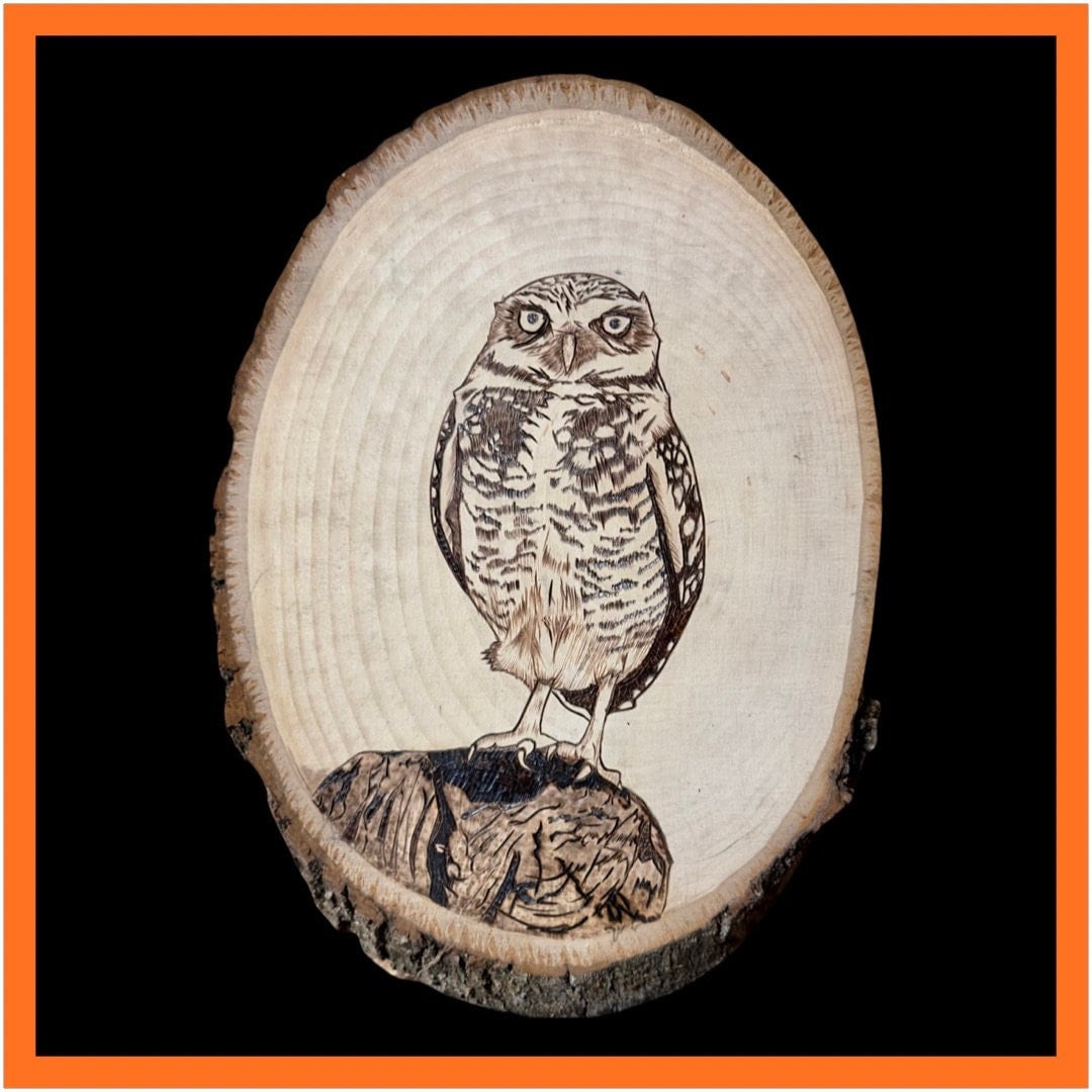Burrowing Owl Wood Burning Pyrography - Etsy