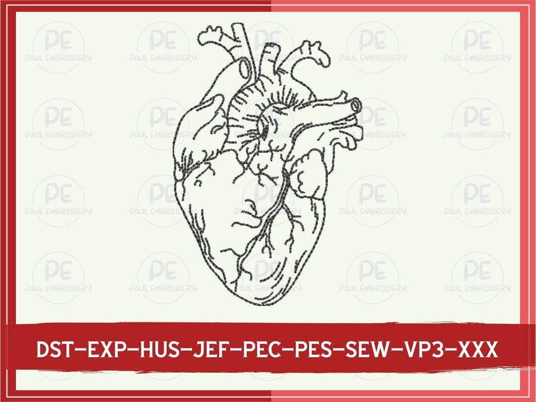 Real Heart Embroidery Design, Machine Embroidered Outline Anatomical ...