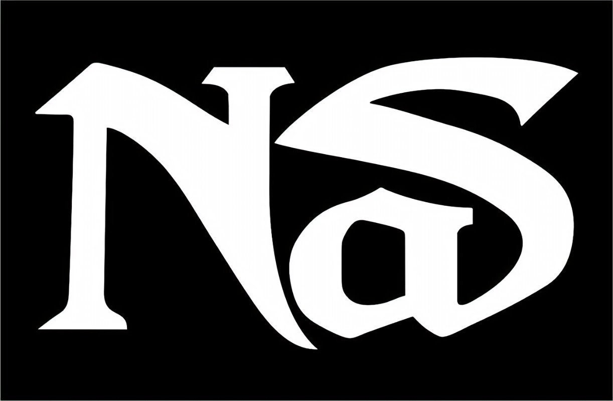 NAS LOGO DECAL. - Etsy