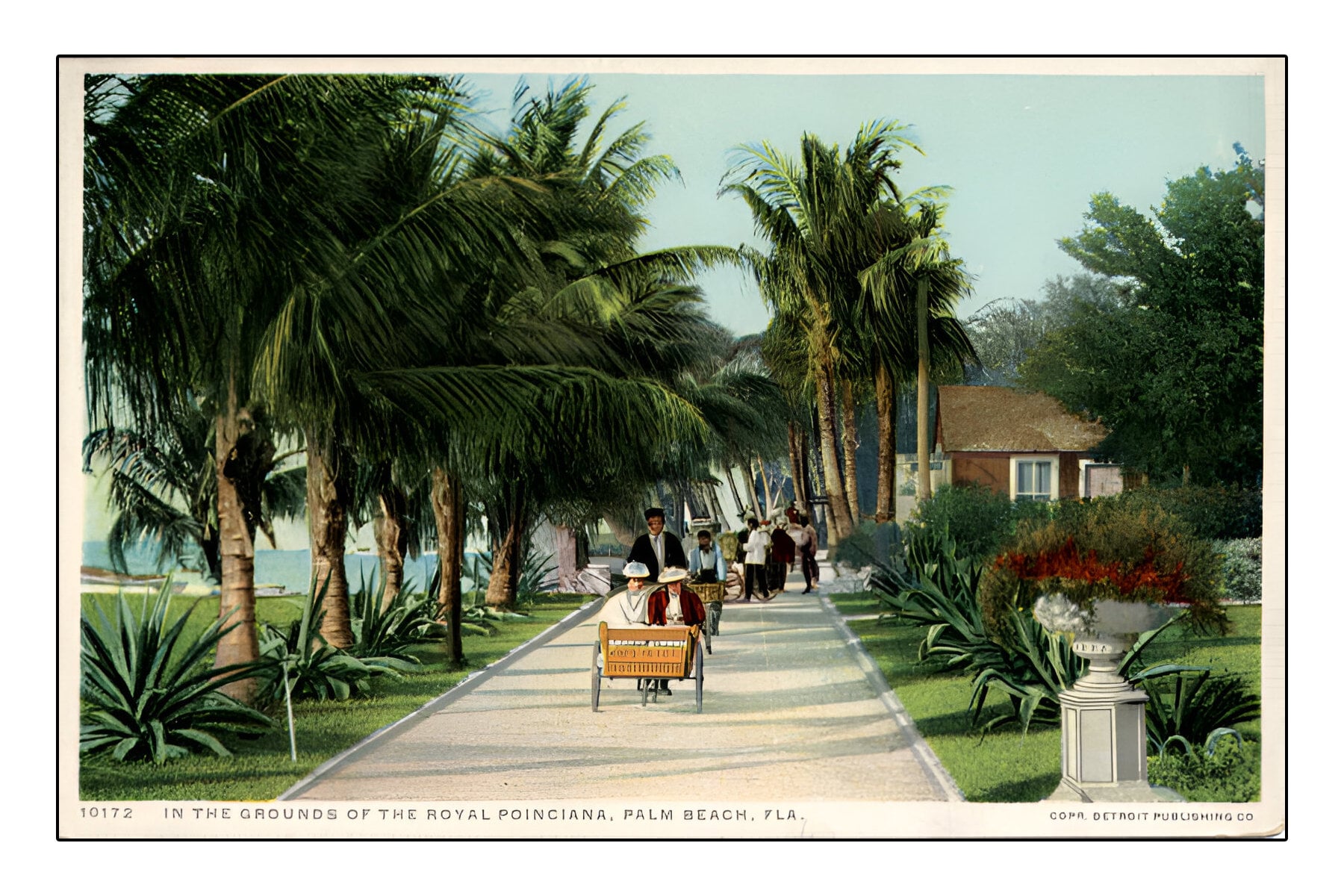 6 Vintage Florida Postcards– Digital Download – Florida Scenes – 6” X 4 ...