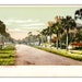 6 Vintage Florida Postcards– Digital Download – Florida Scenes – 6” X 4 ...